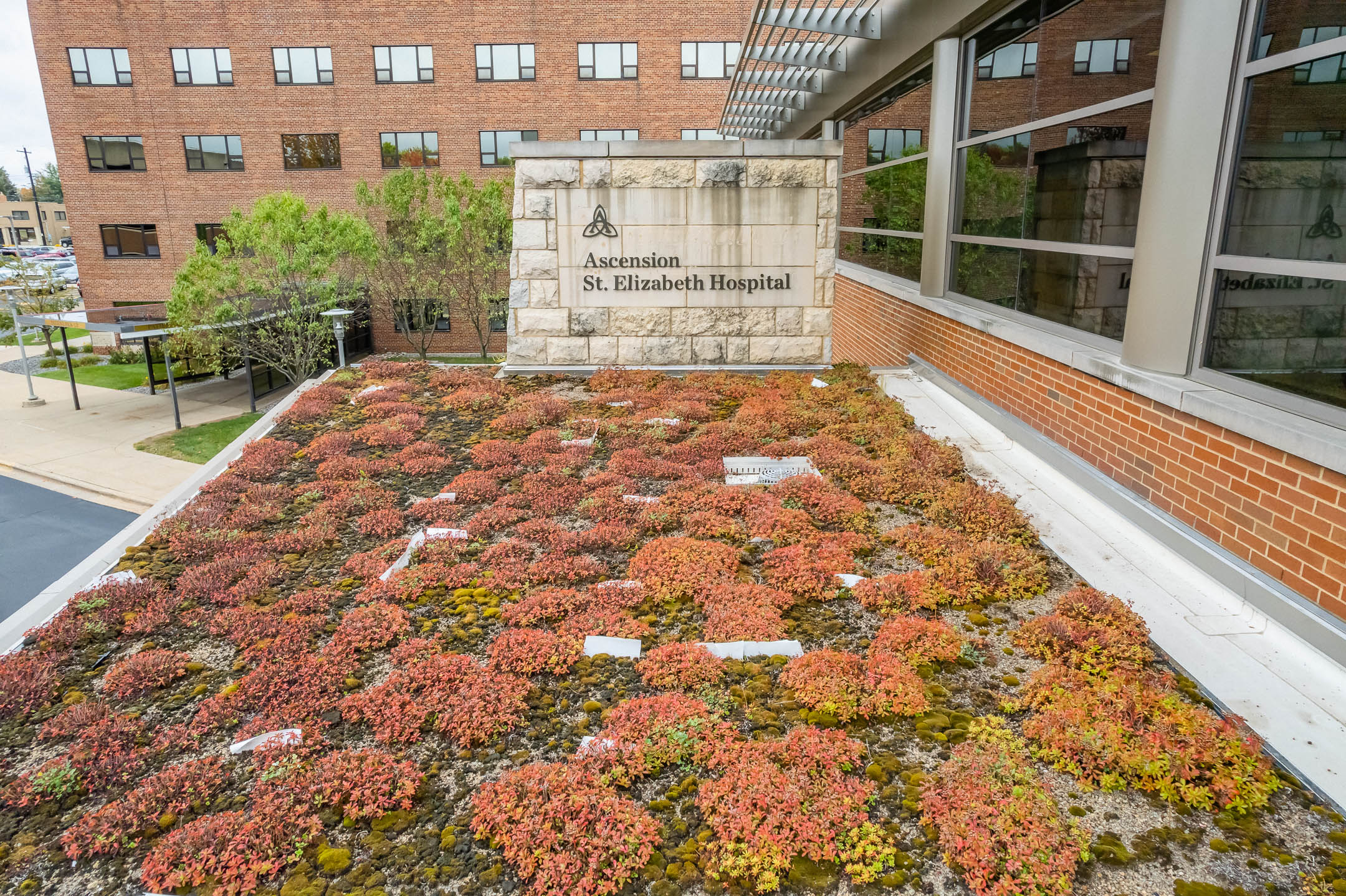 Climate Learning Initiative - Ascension, United States | Health Care ...